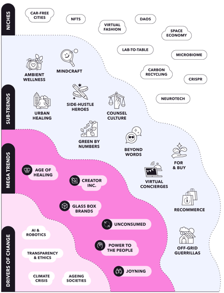 Learn from how we research, spot, analyze and apply consumer trends