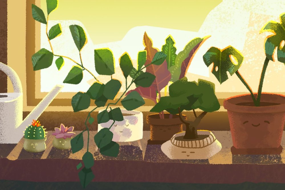 Houseplant game Kinder World blends play with science-backed self-care