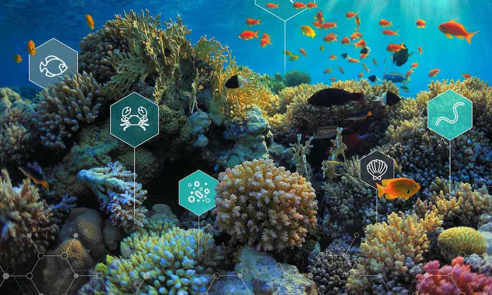 Using environmental DNA, NatureMetrics enables brands to track their ...